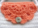 Small Crochet Purse - Free Pattern Instructions on Crochet 'n' Create